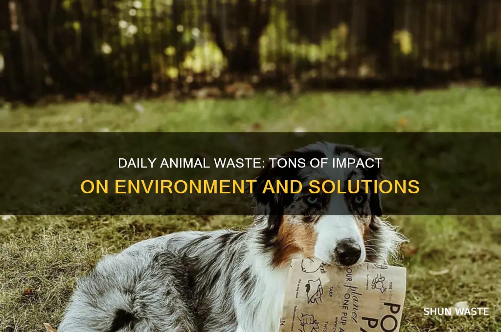 Daily Animal Waste: Tons Of Impact On Environment And Solutions | ShunWaste