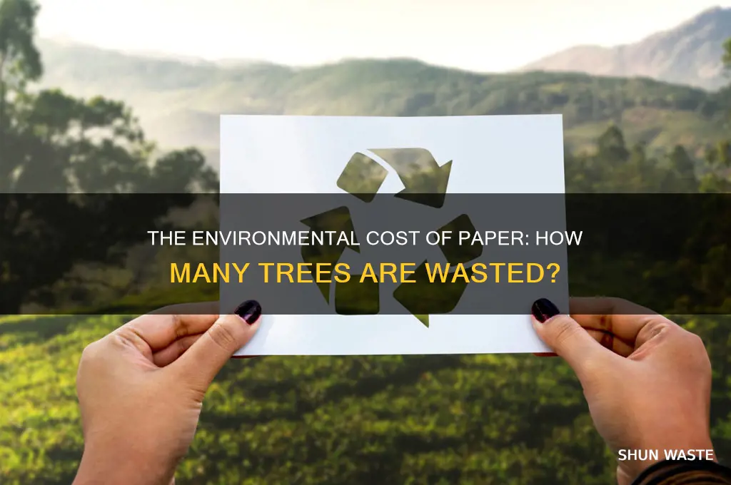 The Environmental Cost Of Paper: How Many Trees Are Wasted? | ShunWaste