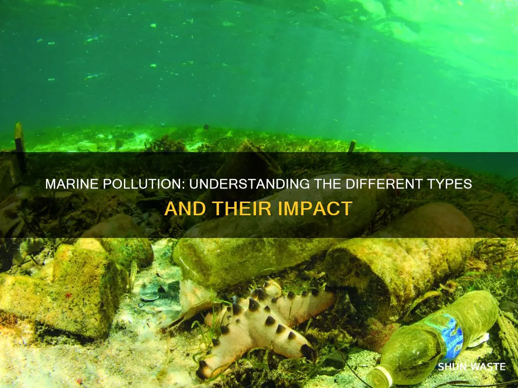 Marine Pollution: Understanding The Different Types And Their Impact ...