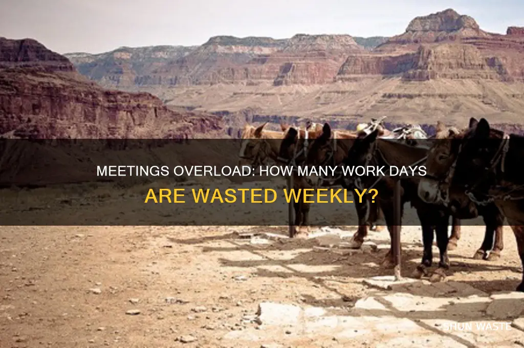 Meetings Overload: How Many Work Days Are Wasted Weekly? | ShunWaste
