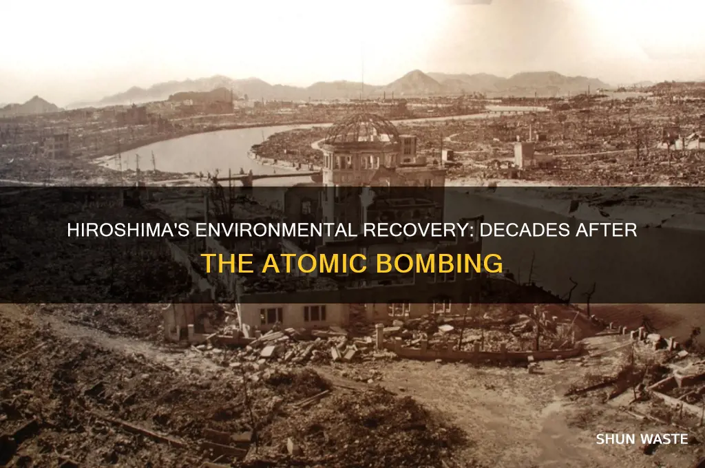Hiroshima's Environmental Recovery: Decades After The Atomic Bombing ...