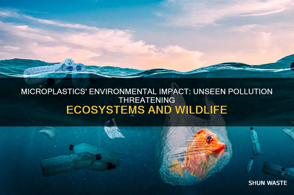 Microplastics' Environmental Impact: Unseen Pollution Threatening ...