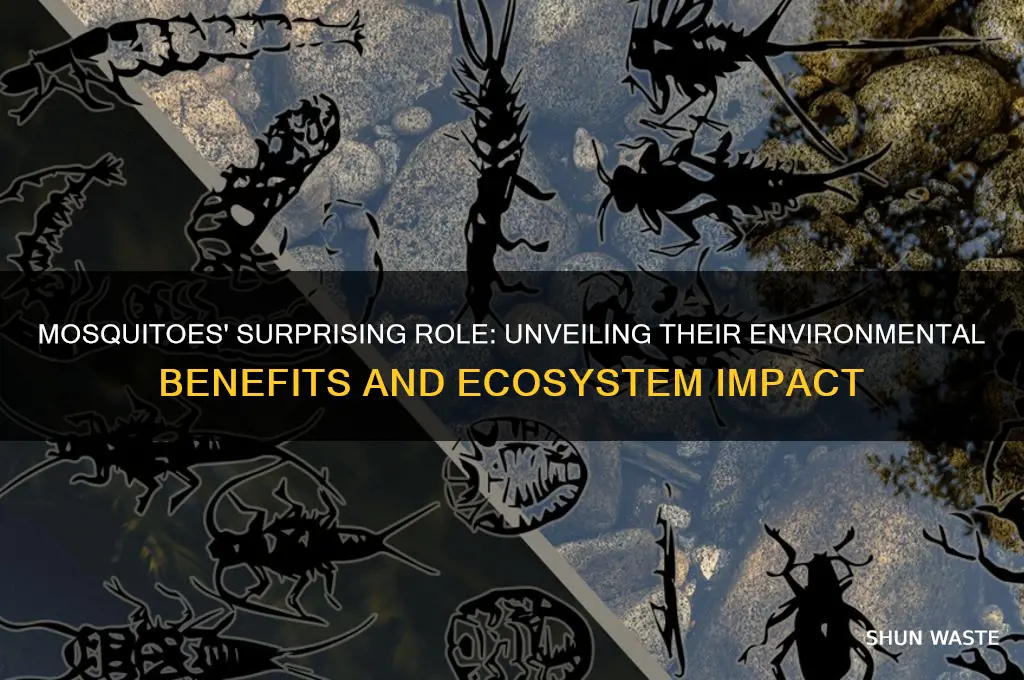 Mosquitoes' Surprising Role: Unveiling Their Environmental Benefits And ...