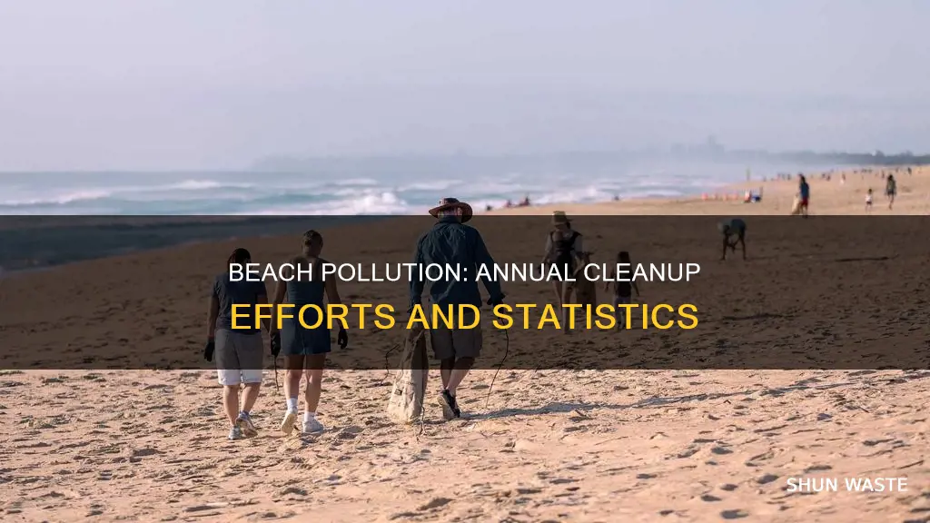 Beach Pollution: Annual Cleanup Efforts And Statistics | ShunWaste