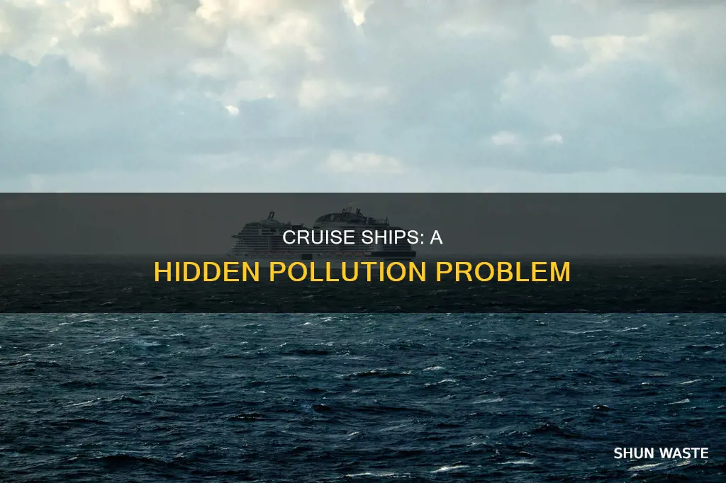 Cruise Ships: A Hidden Pollution Problem | ShunWaste