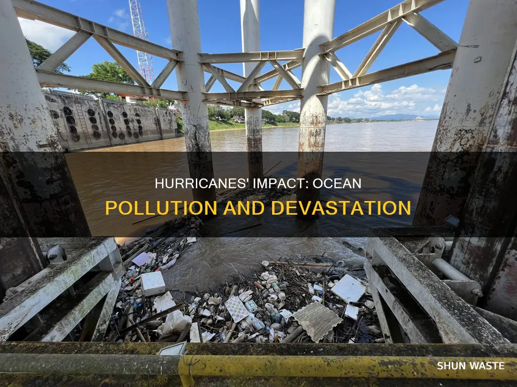 Hurricanes' Impact: Ocean Pollution And Devastation | ShunWaste