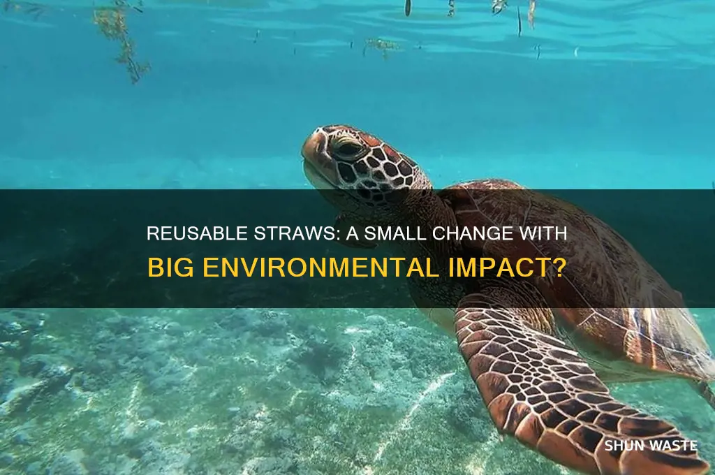 Reusable Straws: A Small Change With Big Environmental Impact? | ShunWaste