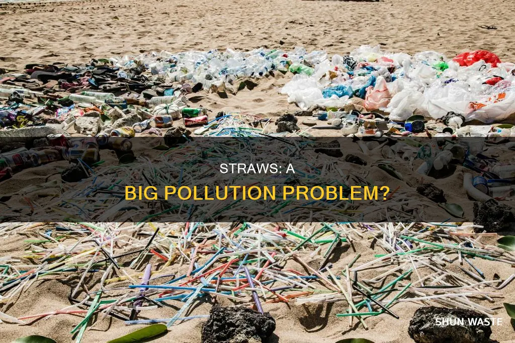 Straws: A Big Pollution Problem? | ShunWaste
