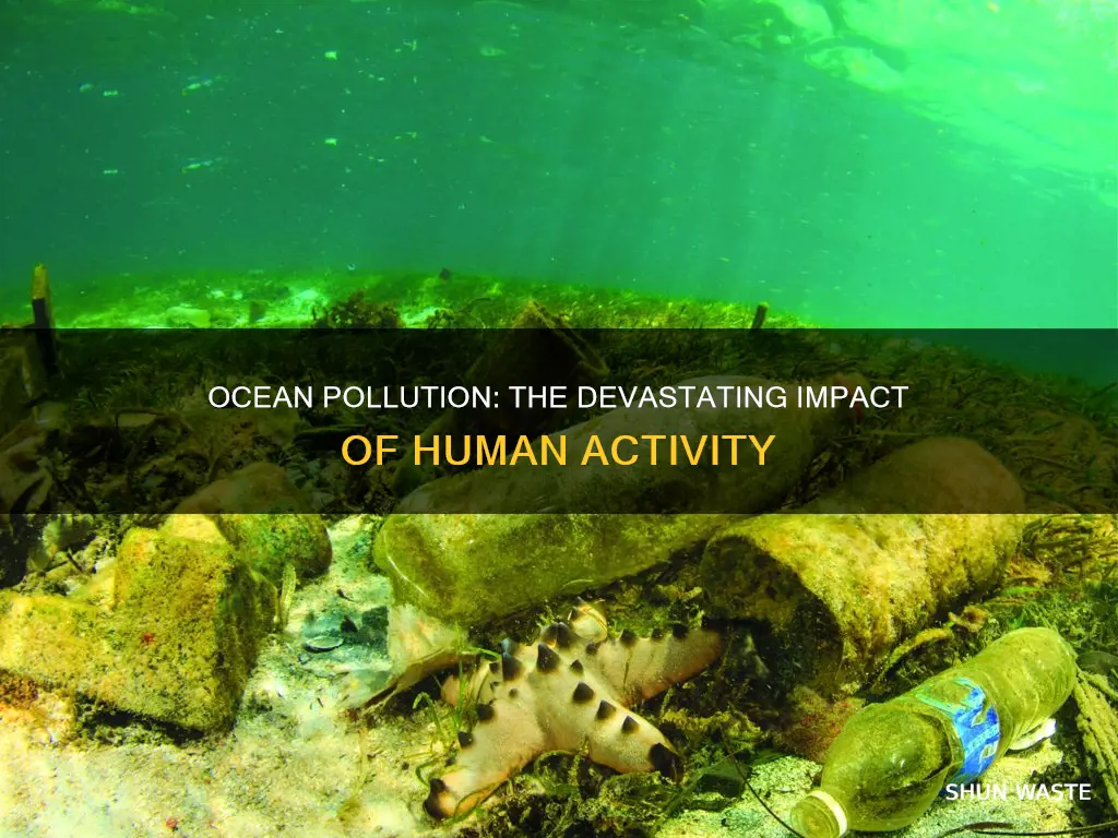 Ocean Pollution: The Devastating Impact Of Human Activity | ShunWaste