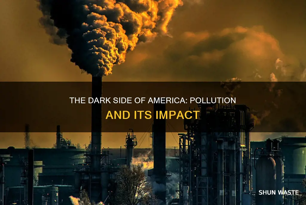 The Dark Side Of America: Pollution And Its Impact | ShunWaste