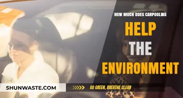Tesla's Environmental Impact: Revolutionizing Sustainability In The ...