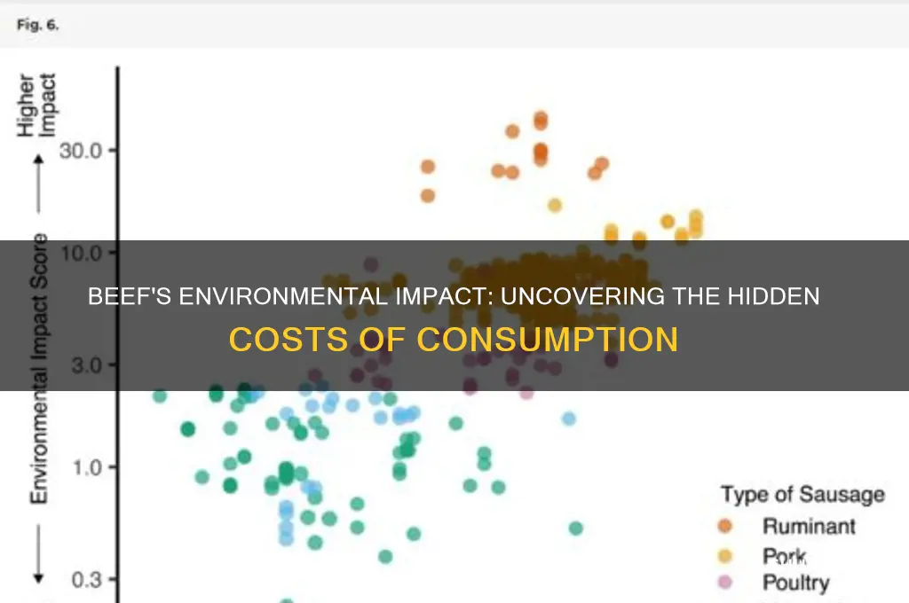 Beef's Environmental Impact: Uncovering The Hidden Costs Of Consumption ...