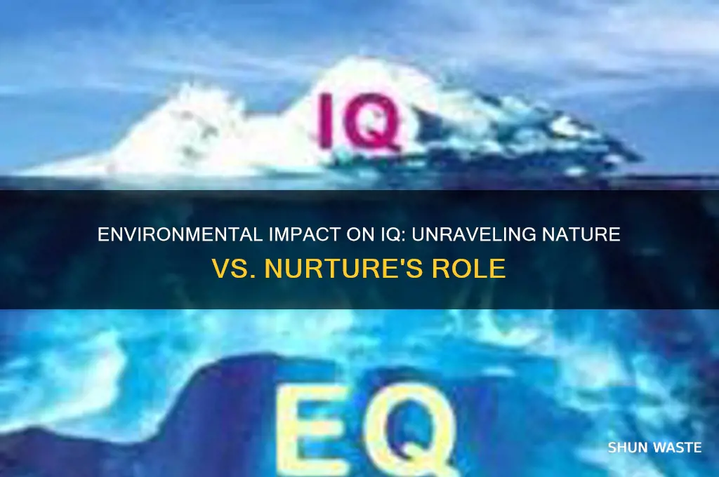 Environmental Impact On Iq: Unraveling Nature Vs. Nurture's Role ...