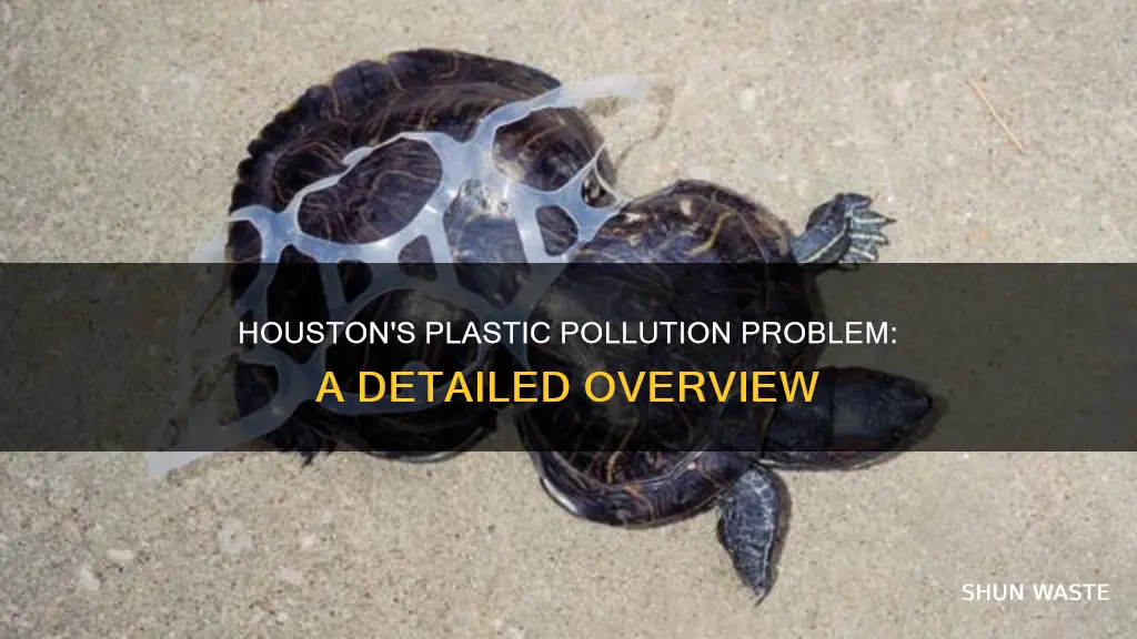 Houston's Plastic Pollution Problem: A Detailed Overview | ShunWaste