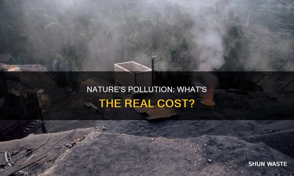 Nature's Pollution: What's The Real Cost? | ShunWaste