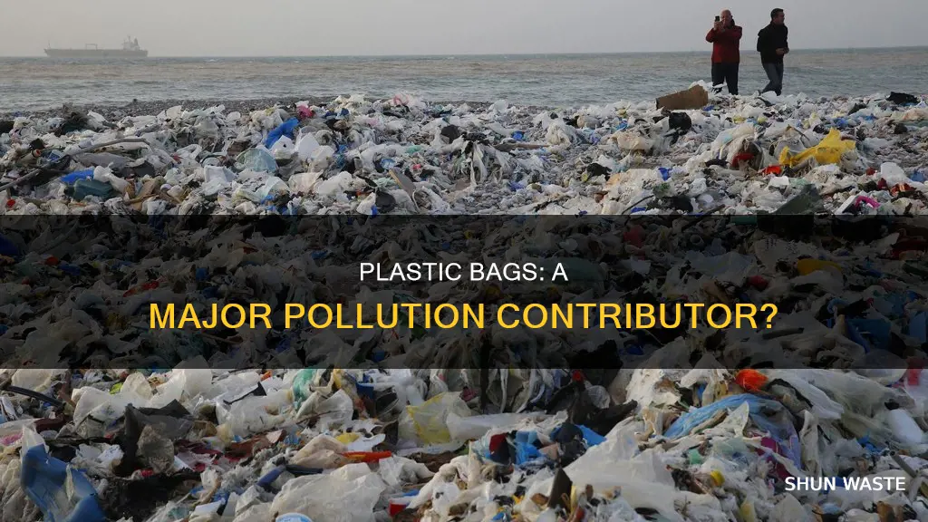 Plastic Bags: A Major Pollution Contributor? | ShunWaste