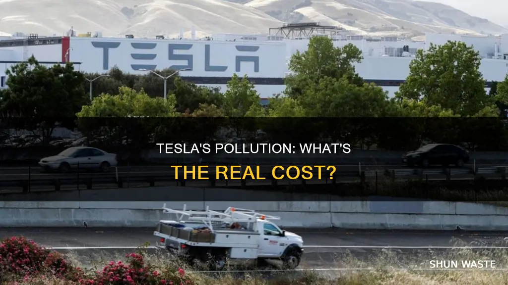 Tesla's Pollution: What's The Real Cost? | ShunWaste