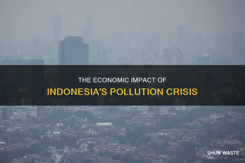 The Economic Impact Of Indonesia's Pollution Crisis | ShunWaste