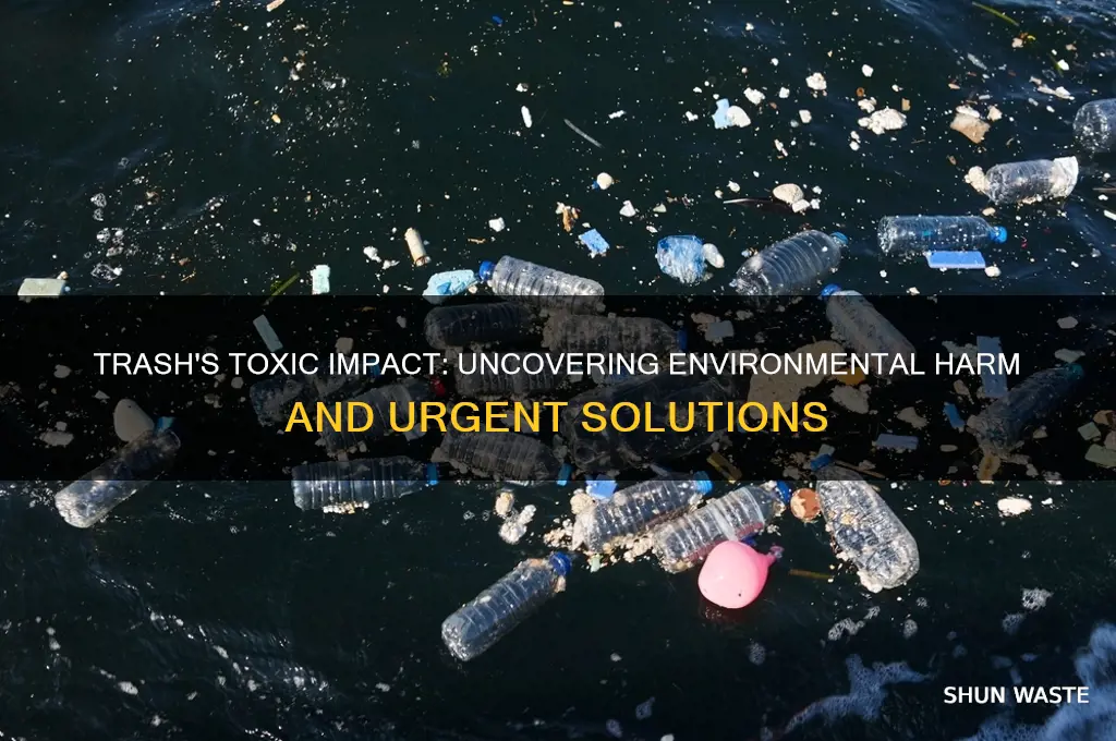 Trash's Toxic Impact: Uncovering Environmental Harm And Urgent ...