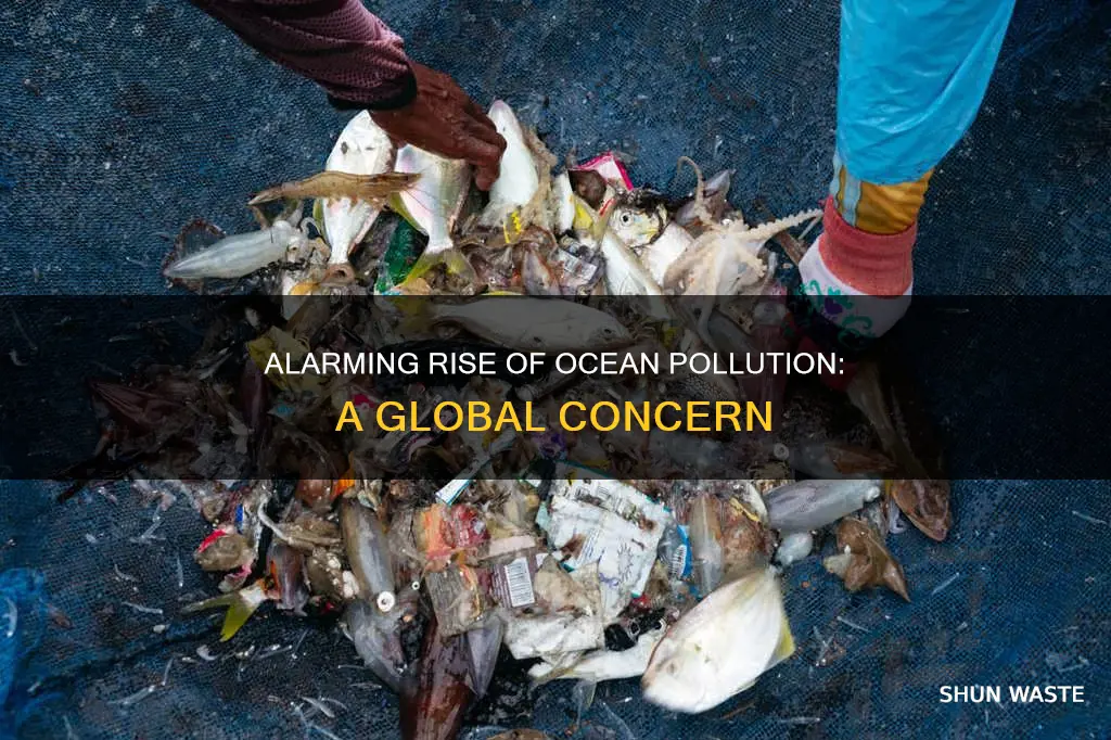 Alarming Rise Of Ocean Pollution: A Global Concern | ShunWaste