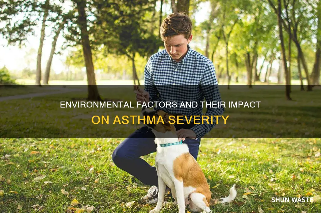 Environmental Factors And Their Impact On Asthma Severity | ShunWaste