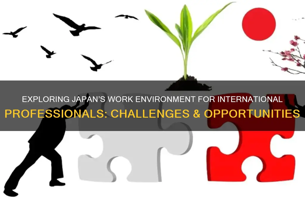 Exploring Japan’S Work Environment For International Professionals ...