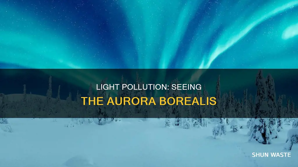 Light Pollution: Seeing The Aurora Borealis | ShunWaste