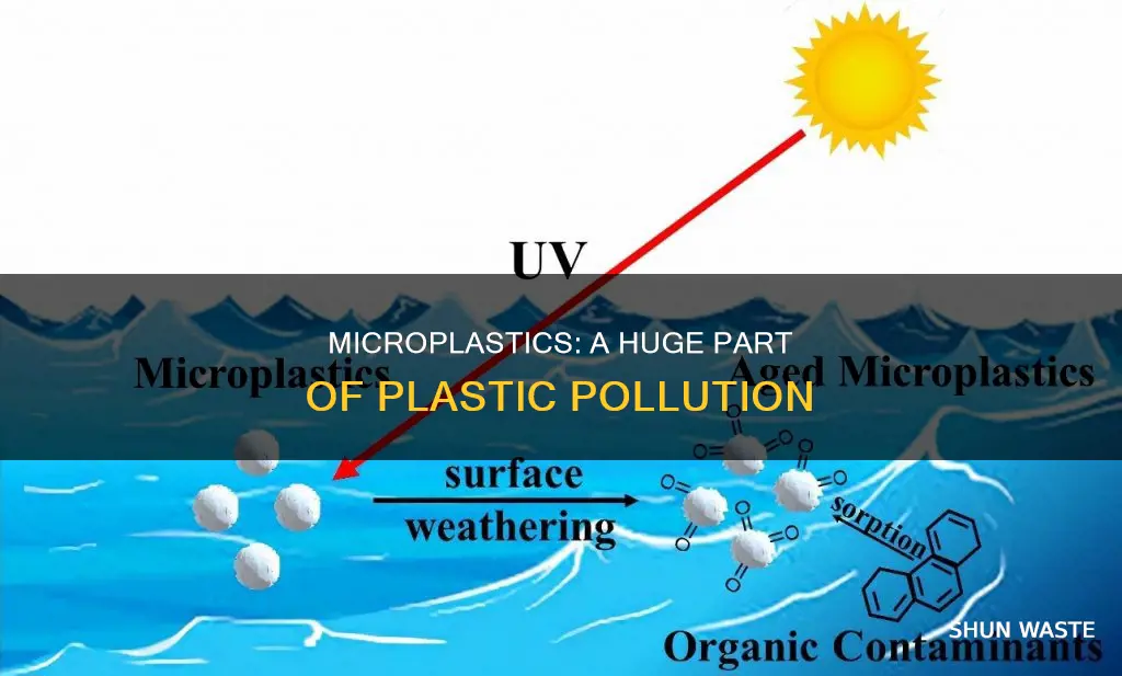 Microplastics: A Huge Part Of Plastic Pollution | ShunWaste