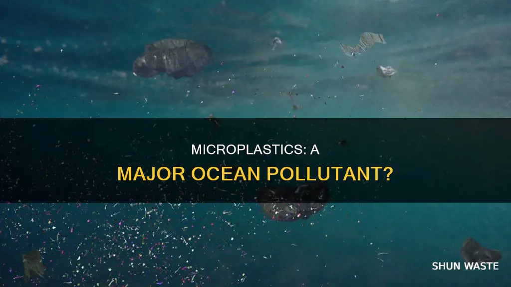 Microplastics: A Major Ocean Pollutant? | ShunWaste