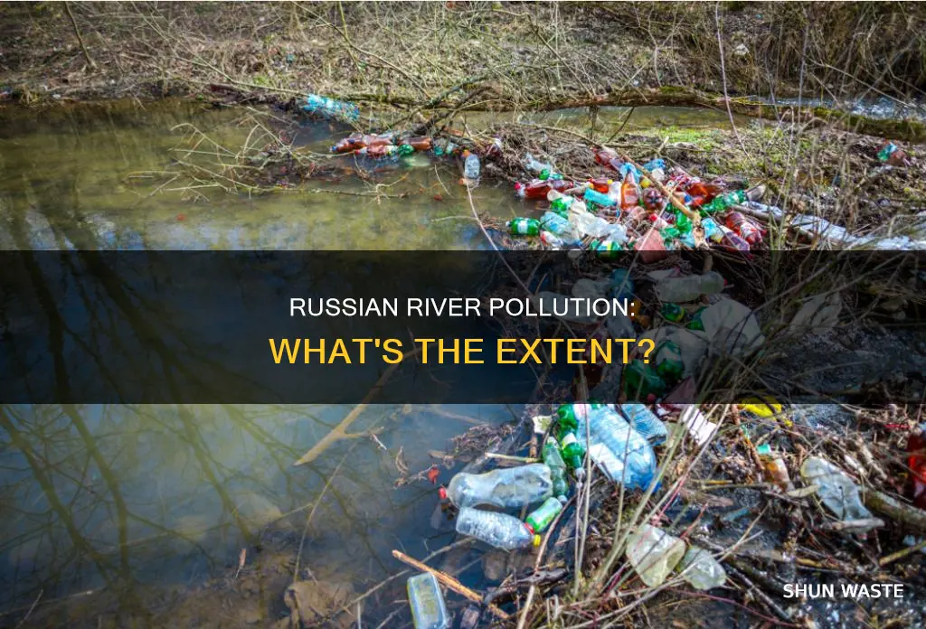 Russian River Pollution: What's The Extent? | ShunWaste