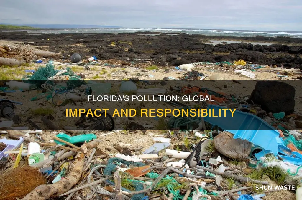 Florida's Pollution: Global Impact And Responsibility | ShunWaste