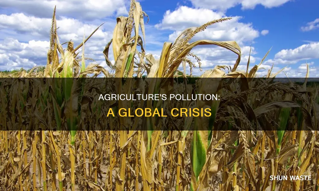 Agriculture's Pollution: A Global Crisis | ShunWaste