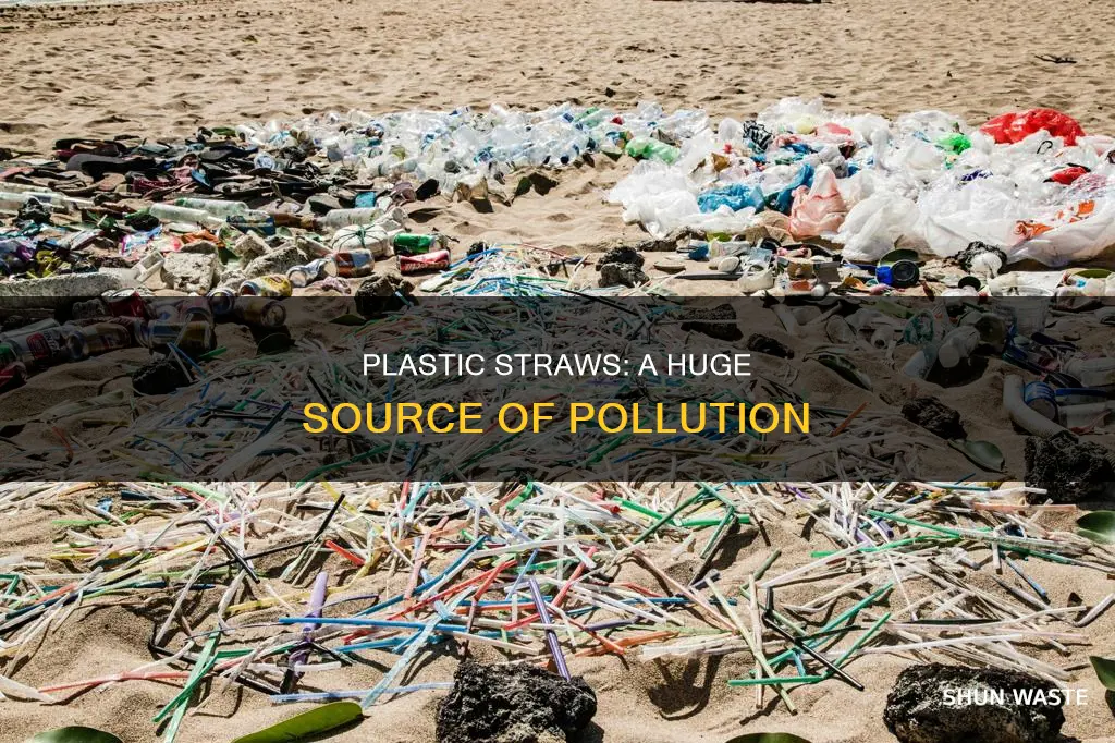 Plastic Straws: A Huge Source Of Pollution | ShunWaste