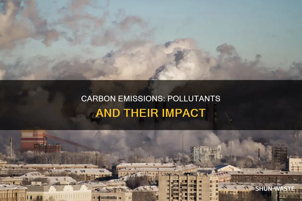 Carbon Emissions: Pollutants And Their Impact | ShunWaste