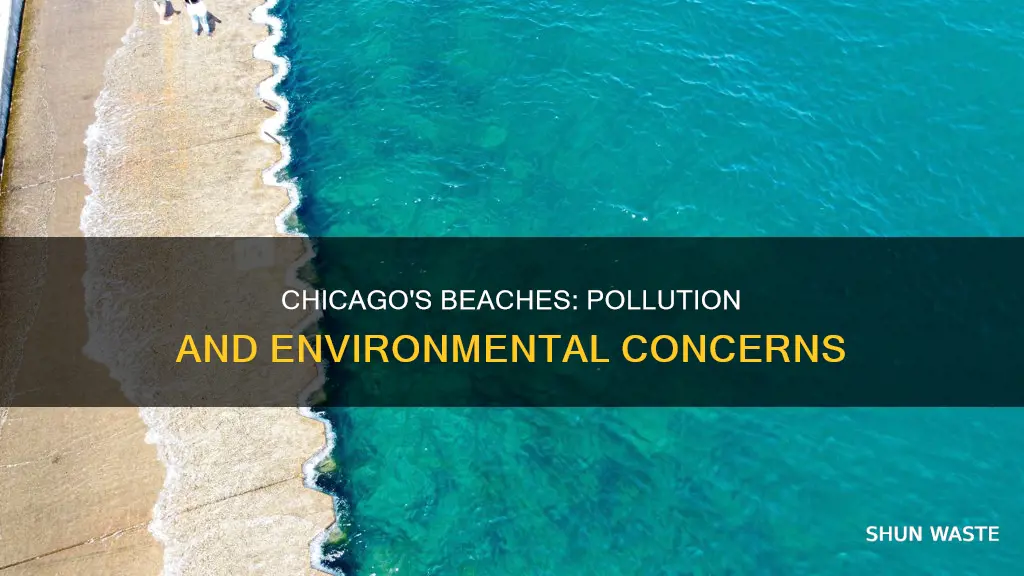 Chicago's Beaches: Pollution And Environmental Concerns | ShunWaste