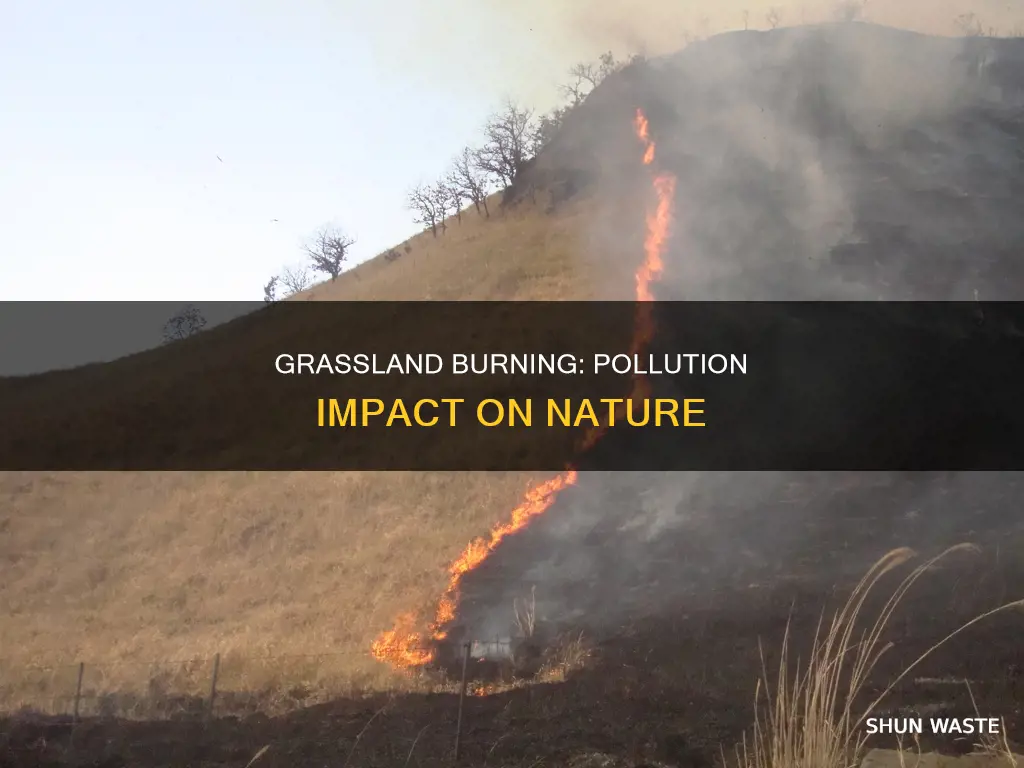 Grassland Burning: Pollution Impact On Nature | ShunWaste
