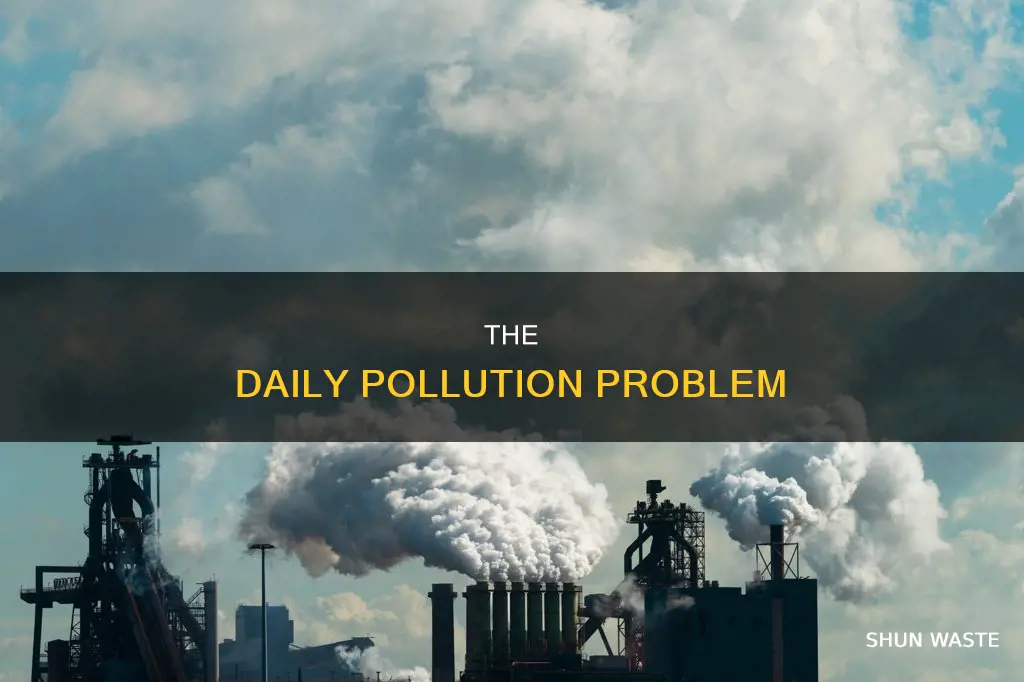 The Daily Pollution Problem | ShunWaste