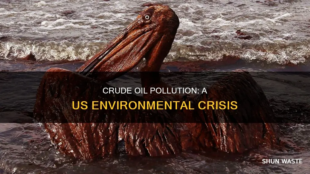 Crude Oil Pollution: A Us Environmental Crisis | ShunWaste