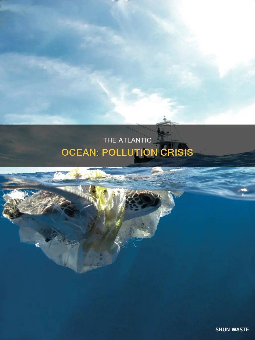 The Atlantic Ocean: Pollution Crisis | ShunWaste