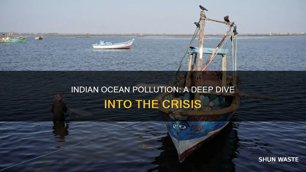 Indian Ocean Pollution: A Deep Dive Into The Crisis | ShunWaste
