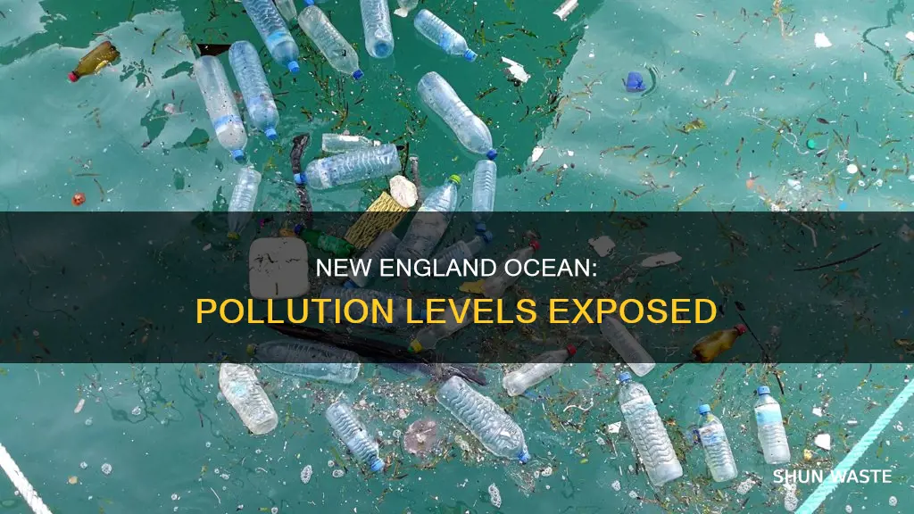 New England Ocean: Pollution Levels Exposed | ShunWaste