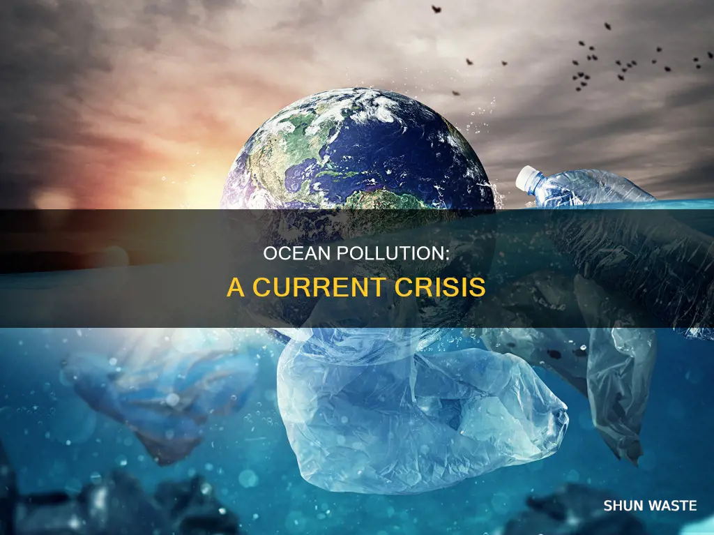 Ocean Pollution: A Current Crisis | ShunWaste