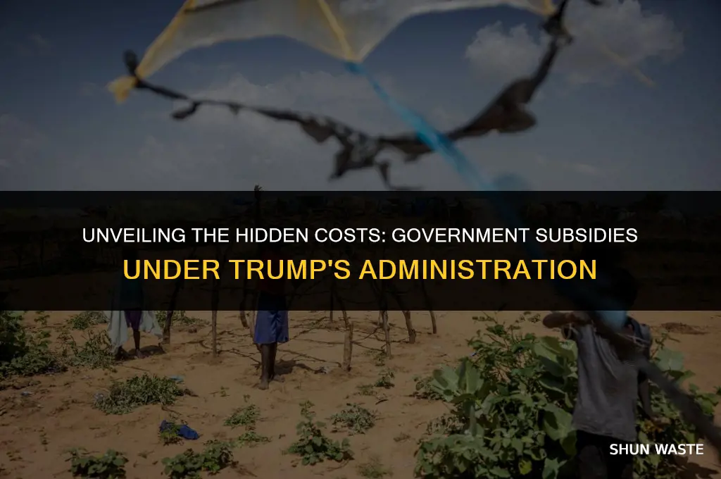 Unveiling The Hidden Costs: Government Subsidies Under Trump's ...