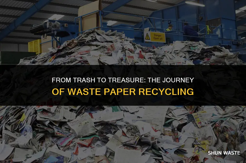 From Trash To Treasure: The Journey Of Waste Paper Recycling | ShunWaste