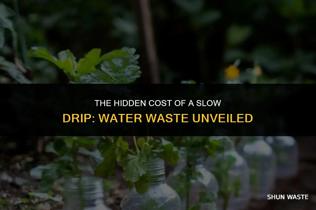 The Hidden Cost Of A Slow Drip: Water Waste Unveiled | ShunWaste