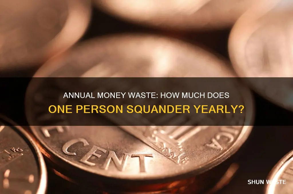 Annual Money Waste: How Much Does One Person Squander Yearly? | ShunWaste