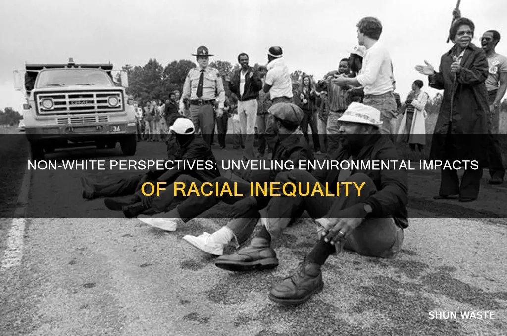 Non-White Perspectives: Unveiling Environmental Impacts Of Racial ...