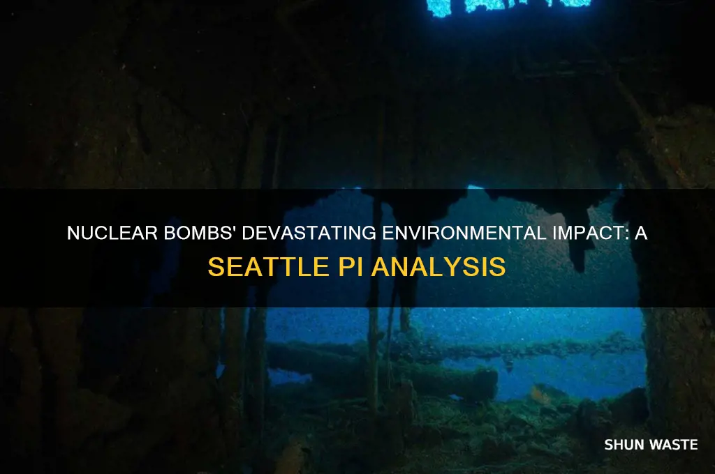 Nuclear Bombs' Devastating Environmental Impact: A Seattle Pi Analysis ...