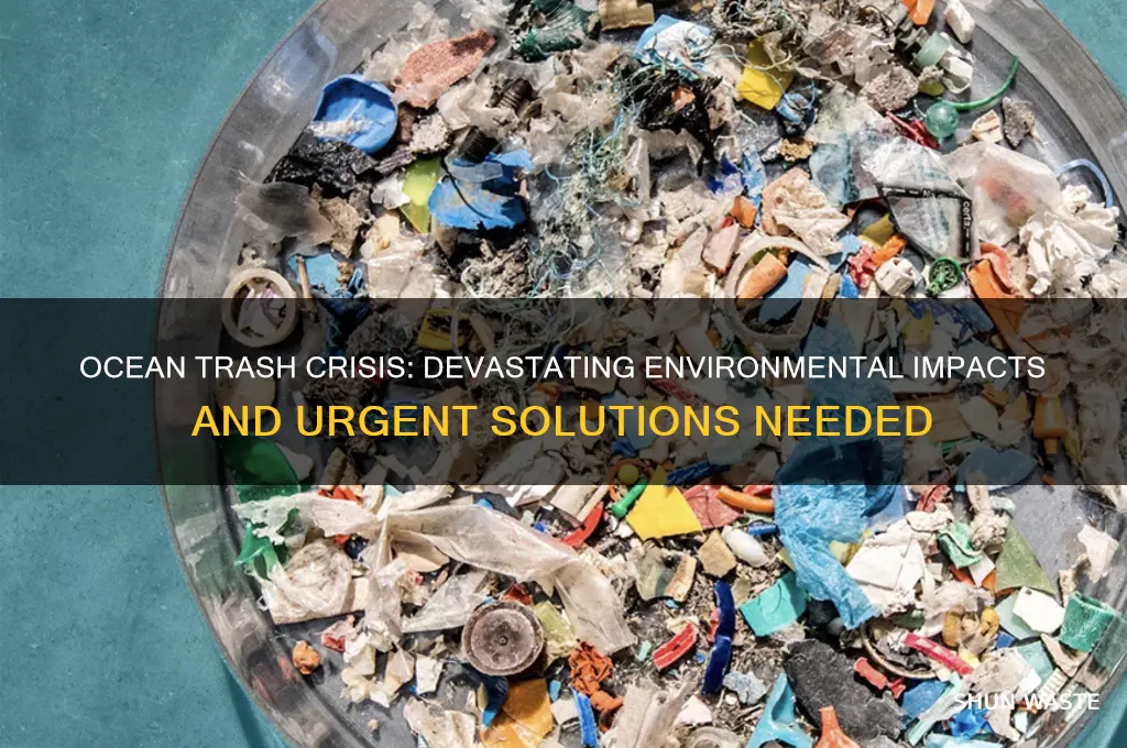 Ocean Trash Crisis: Devastating Environmental Impacts And Urgent ...