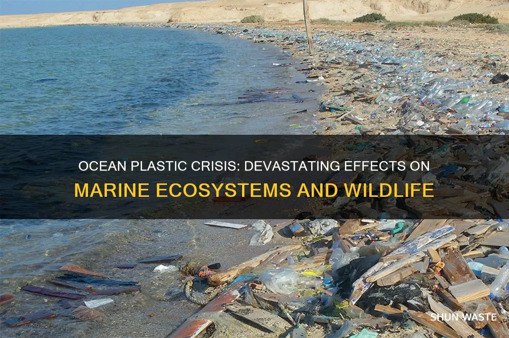 Ocean Plastic Crisis: Devastating Effects On Marine Ecosystems And ...
